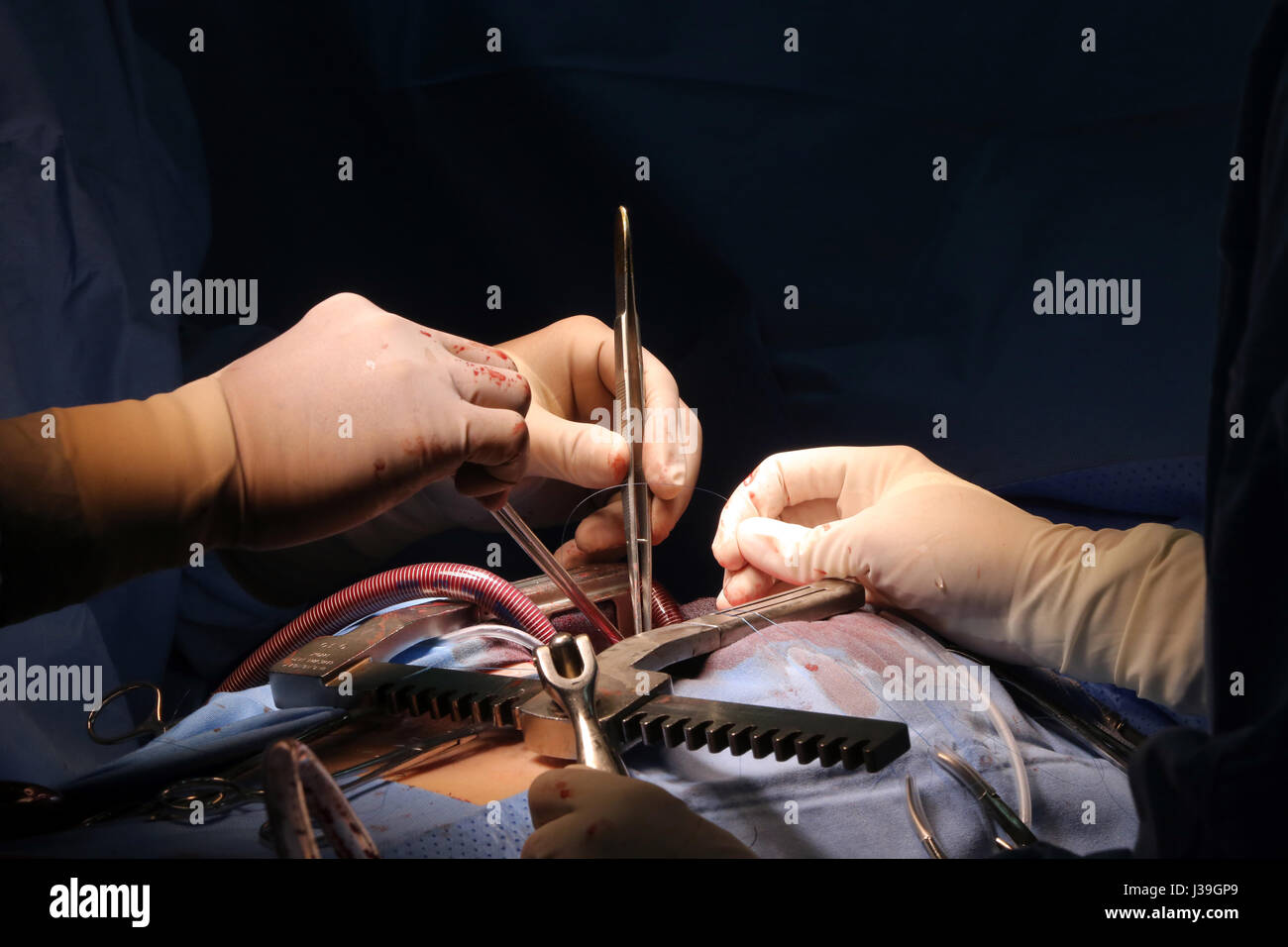 Theater practitioner hi-res stock photography and images - Alamy