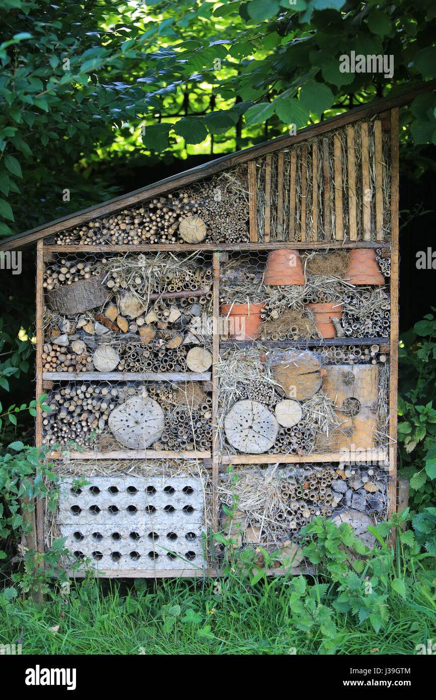 Insects refuge hi-res stock photography and images - Alamy