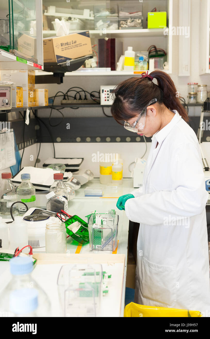 Scientific research and advancement hi-res stock photography and images ...