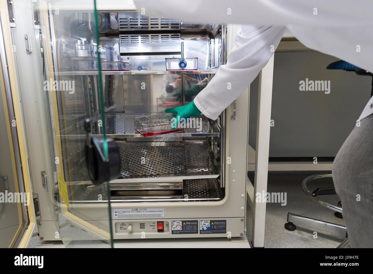 Cancer cells in culture hi-res stock photography and images - Alamy