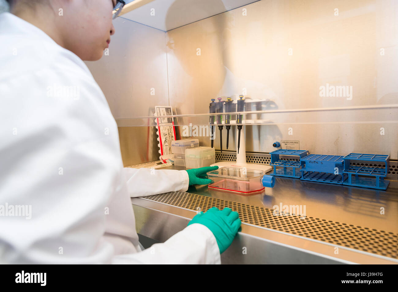 In vitro cancer research hi-res stock photography and images - Alamy