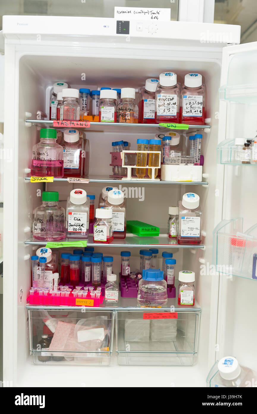 Cancer cells in culture hi-res stock photography and images - Alamy