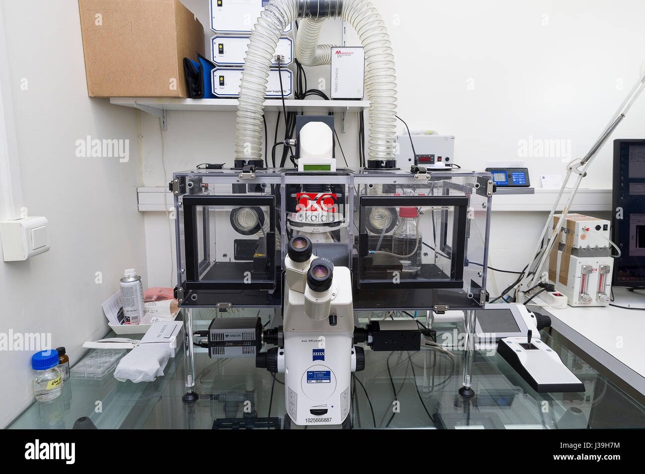 Cancer research information hi-res stock photography and images - Alamy