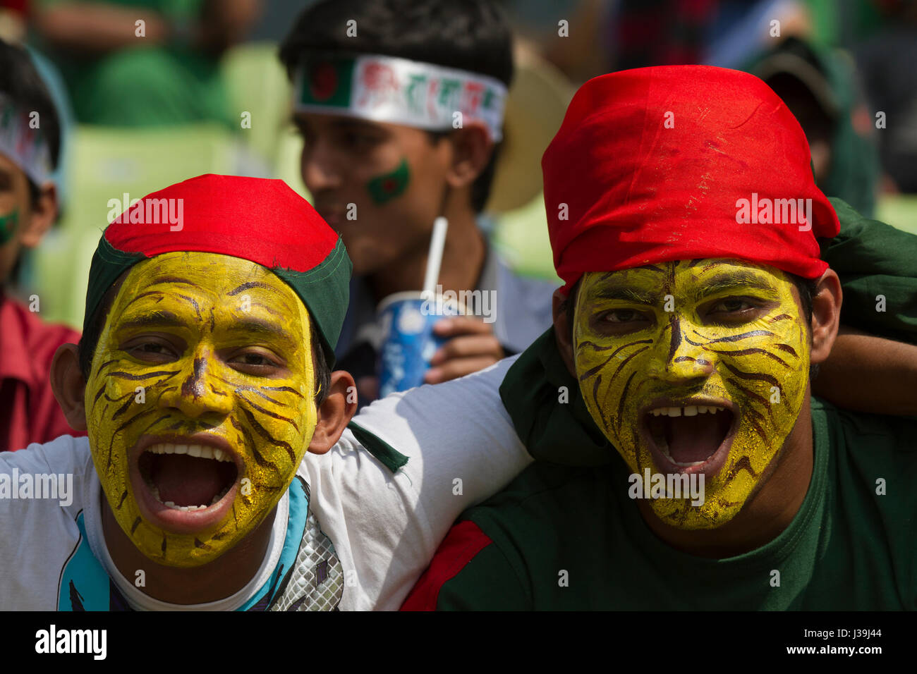 Jubilant cricket fans during the match of the 10th ICC Cricket World ...