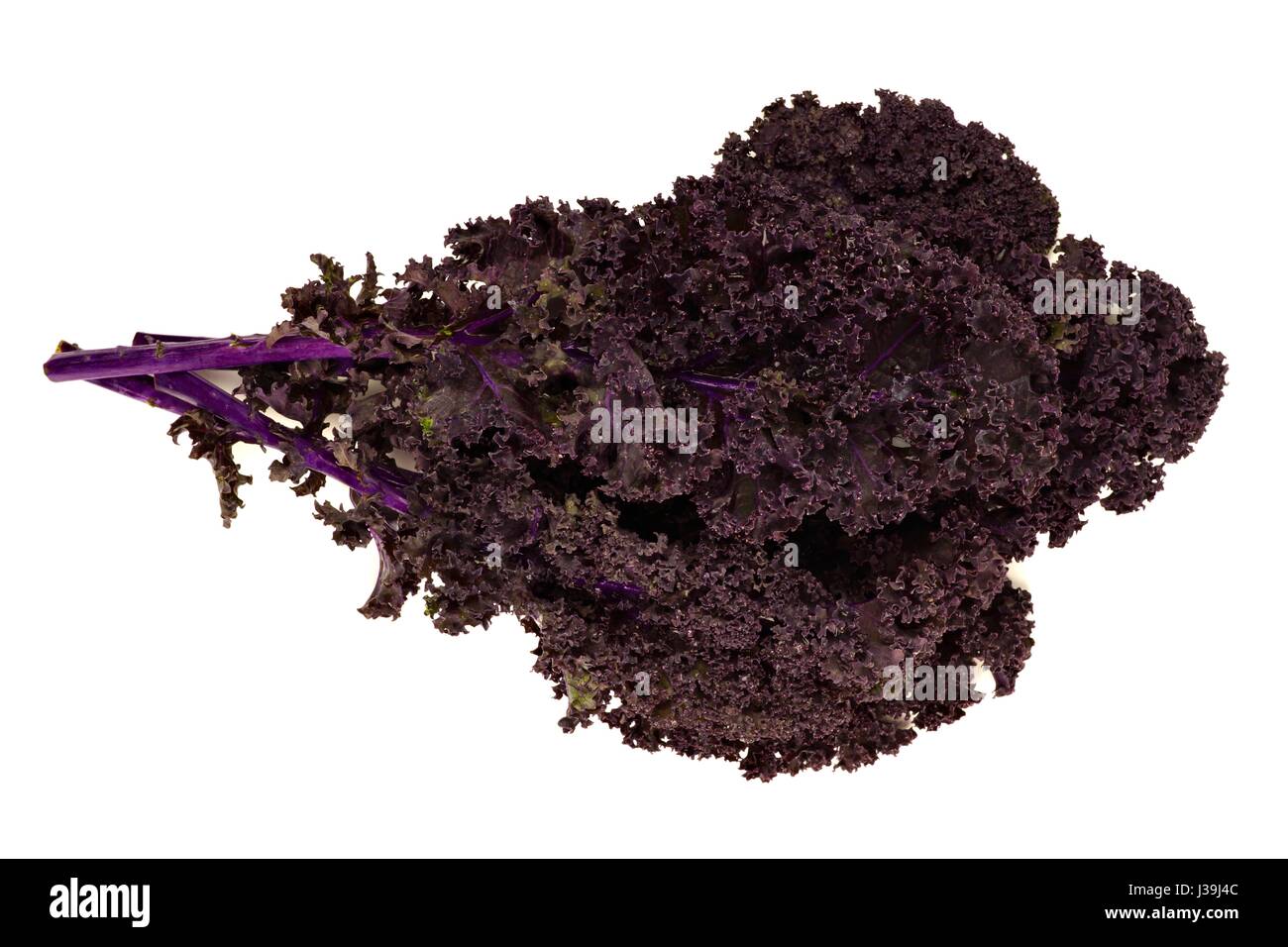 Bunch of fresh red kale over a white background Stock Photo - Alamy