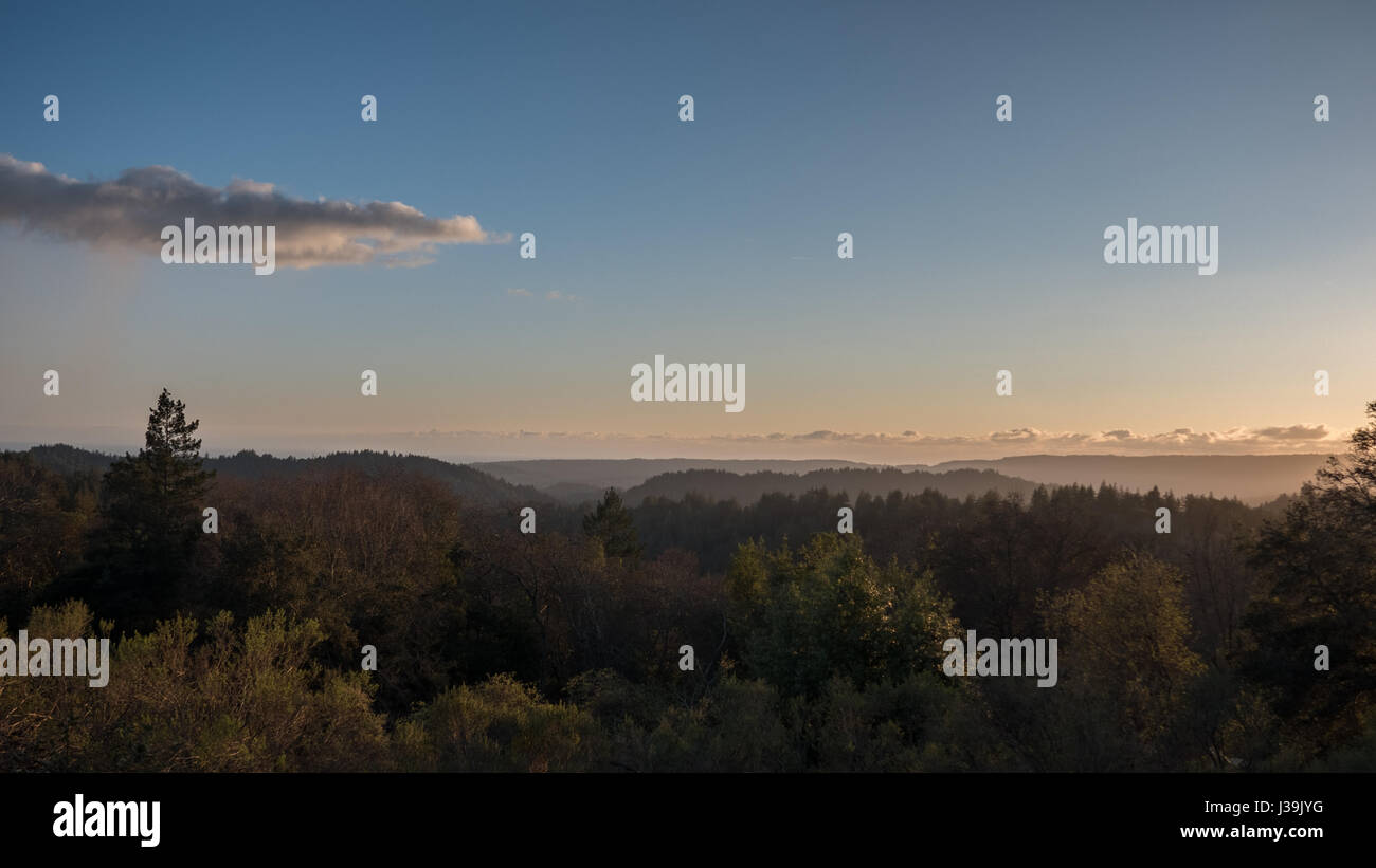 Sunset Over Top of Dense Forest Stock Photo - Alamy