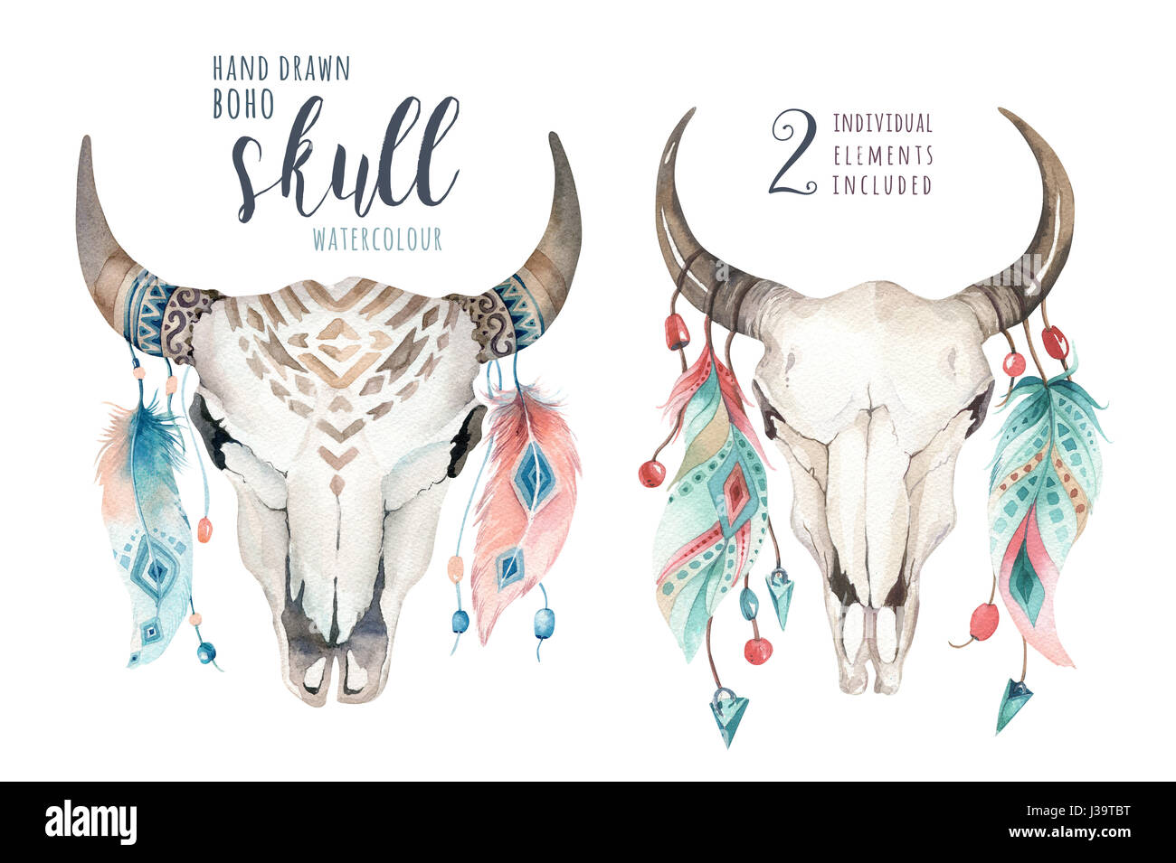 Watercolor bohemian cow skull and feather. Western mammals. Boho ...