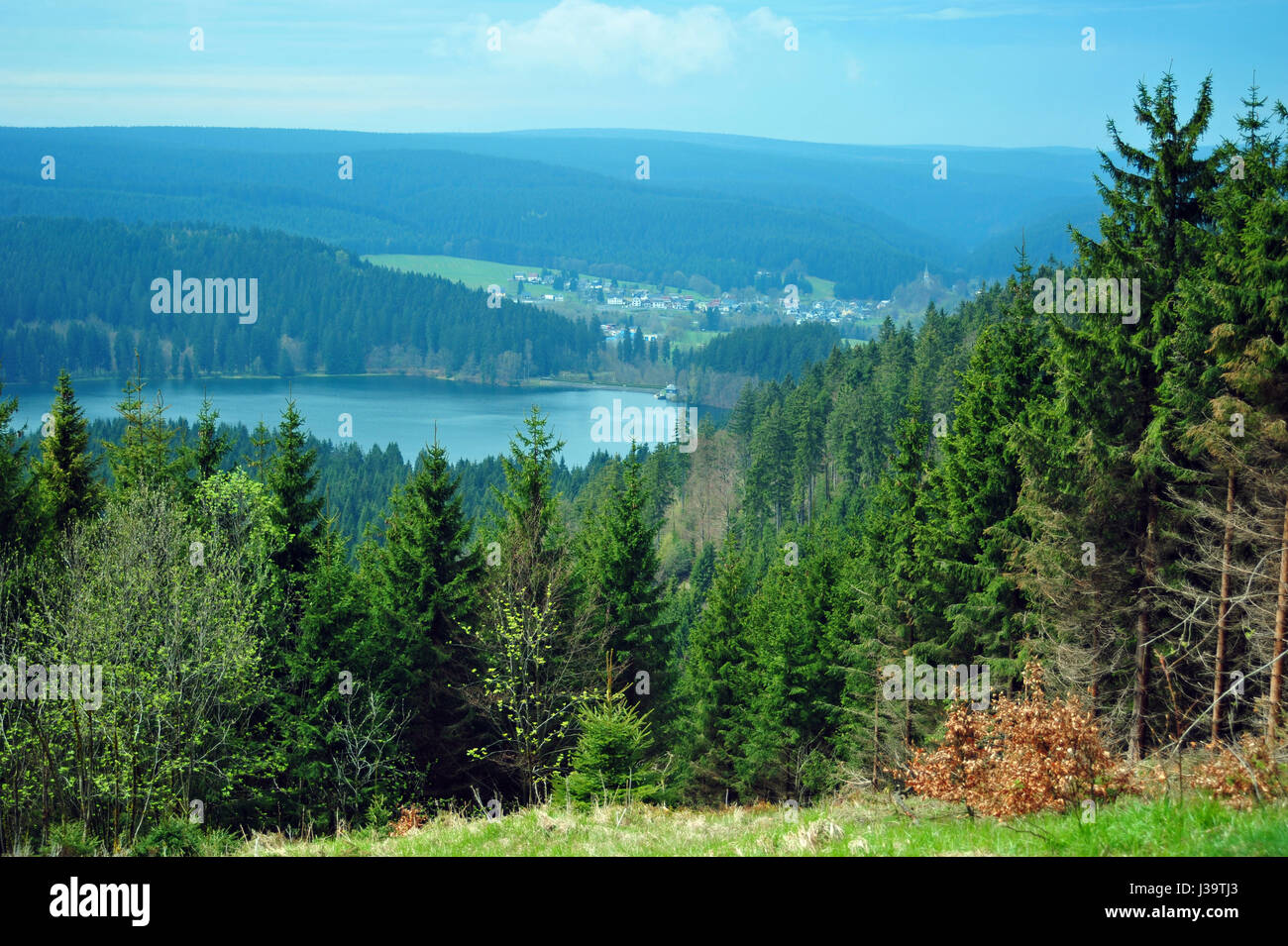 Rennsteig, Thüringer Wald, Deutschland Stock Photo - Alamy
