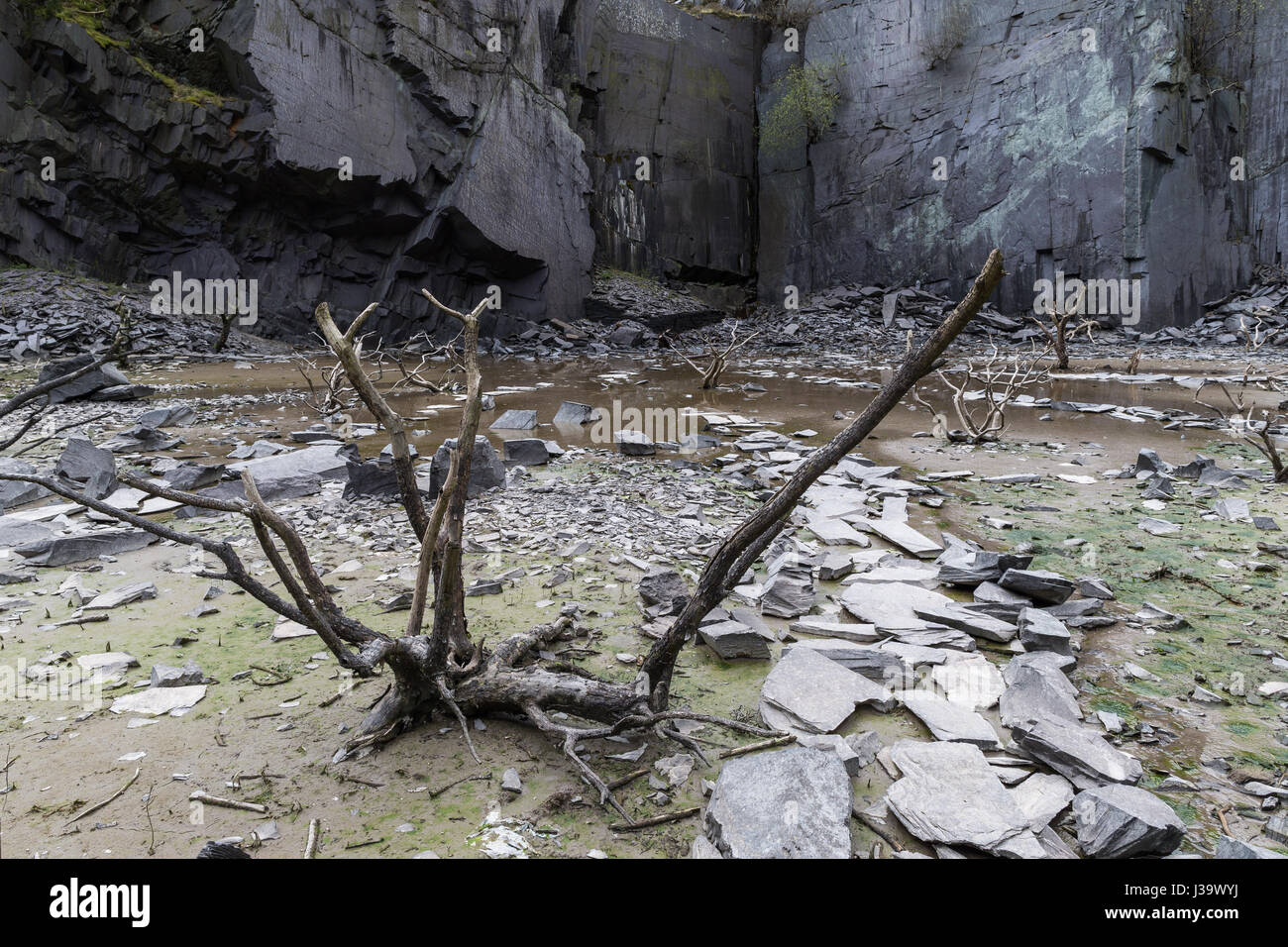 Drained lake hi-res stock photography and images - Alamy