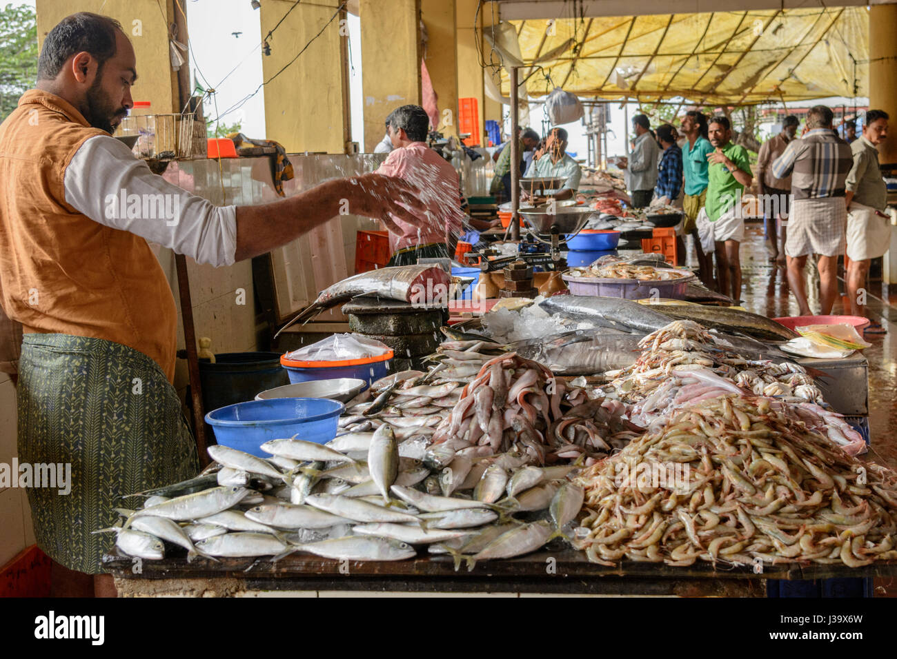 Daily fish market in Thalassery (Tellicherry), Kannur district ...