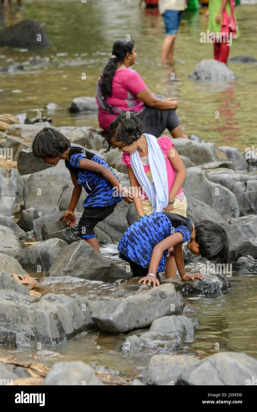 Kuruva Island Crocodile