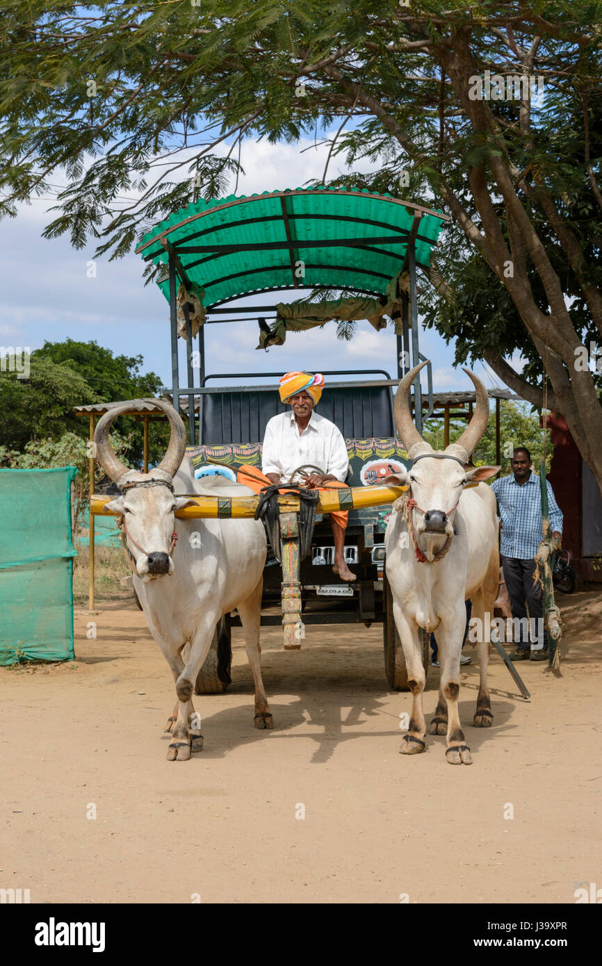 Indian bullock cart hi-res stock photography and images - Alamy
