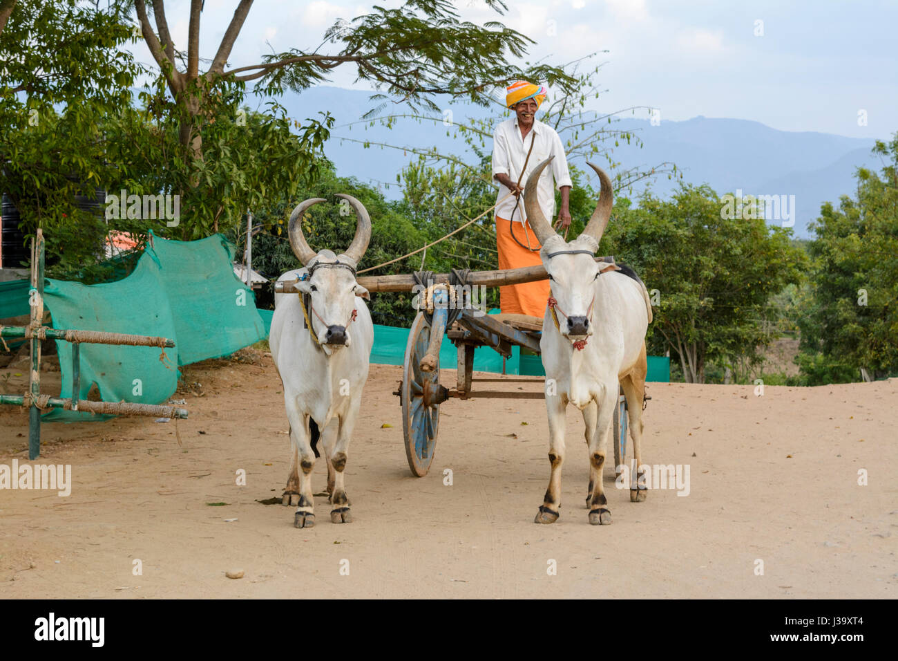 Indian bullock cart hi-res stock photography and images - Alamy