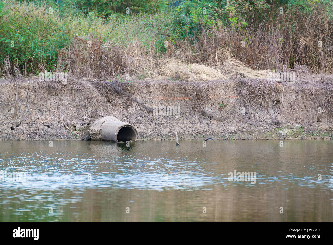 Old concrete drain water in fish farms, drainage and irrigation system ...