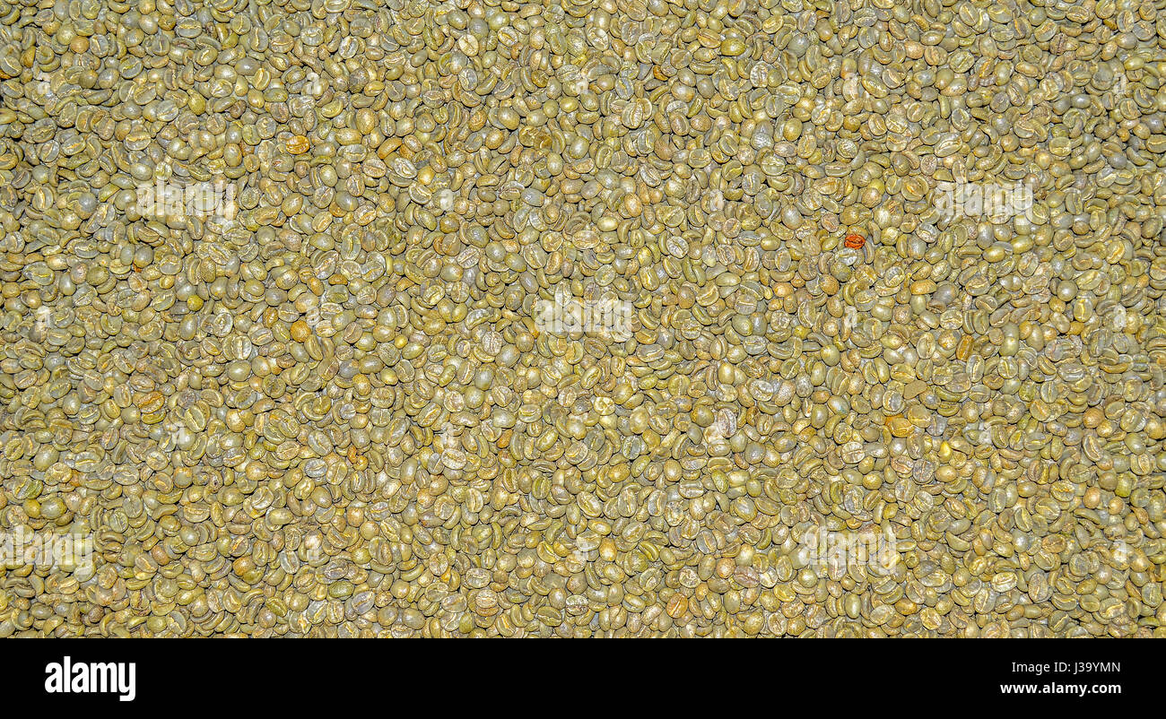 A bunch of coffee beans before roasting process Stock Photo - Alamy