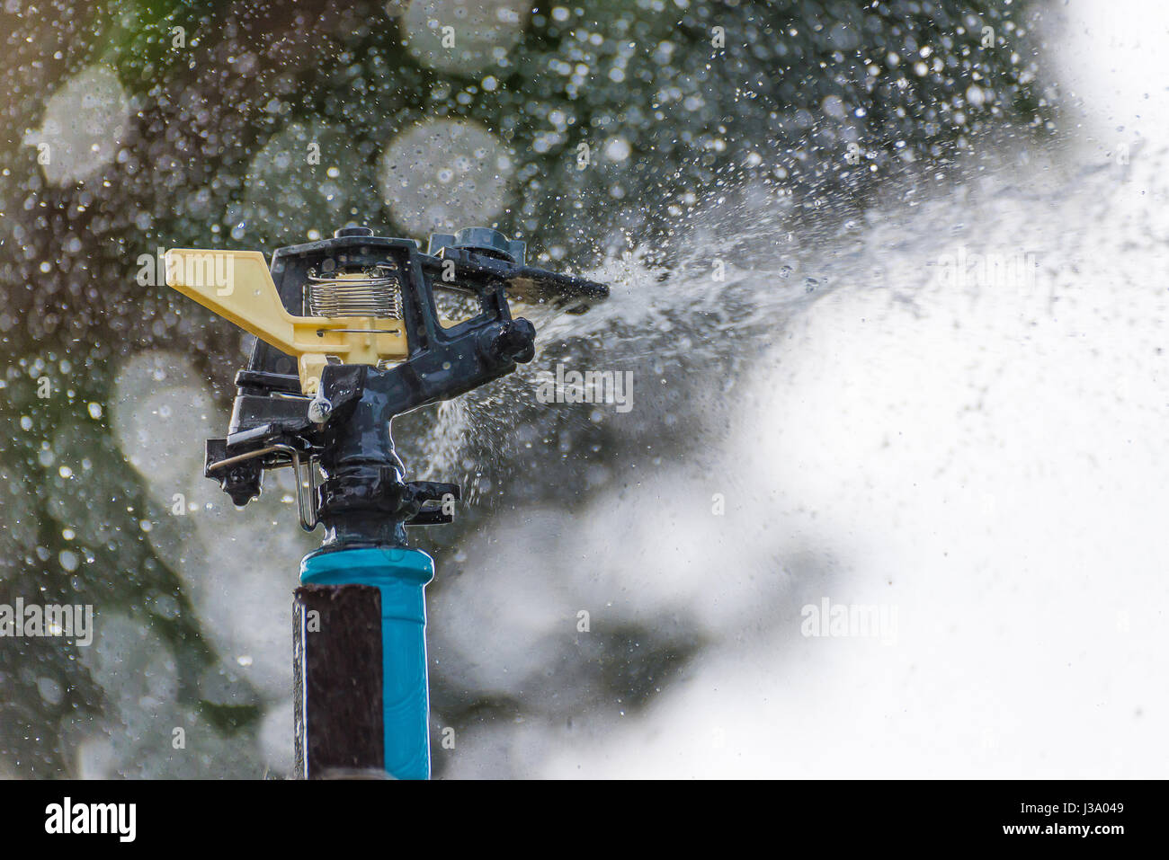 Water springer in the garden and Bokeh background Stock Photo - Alamy