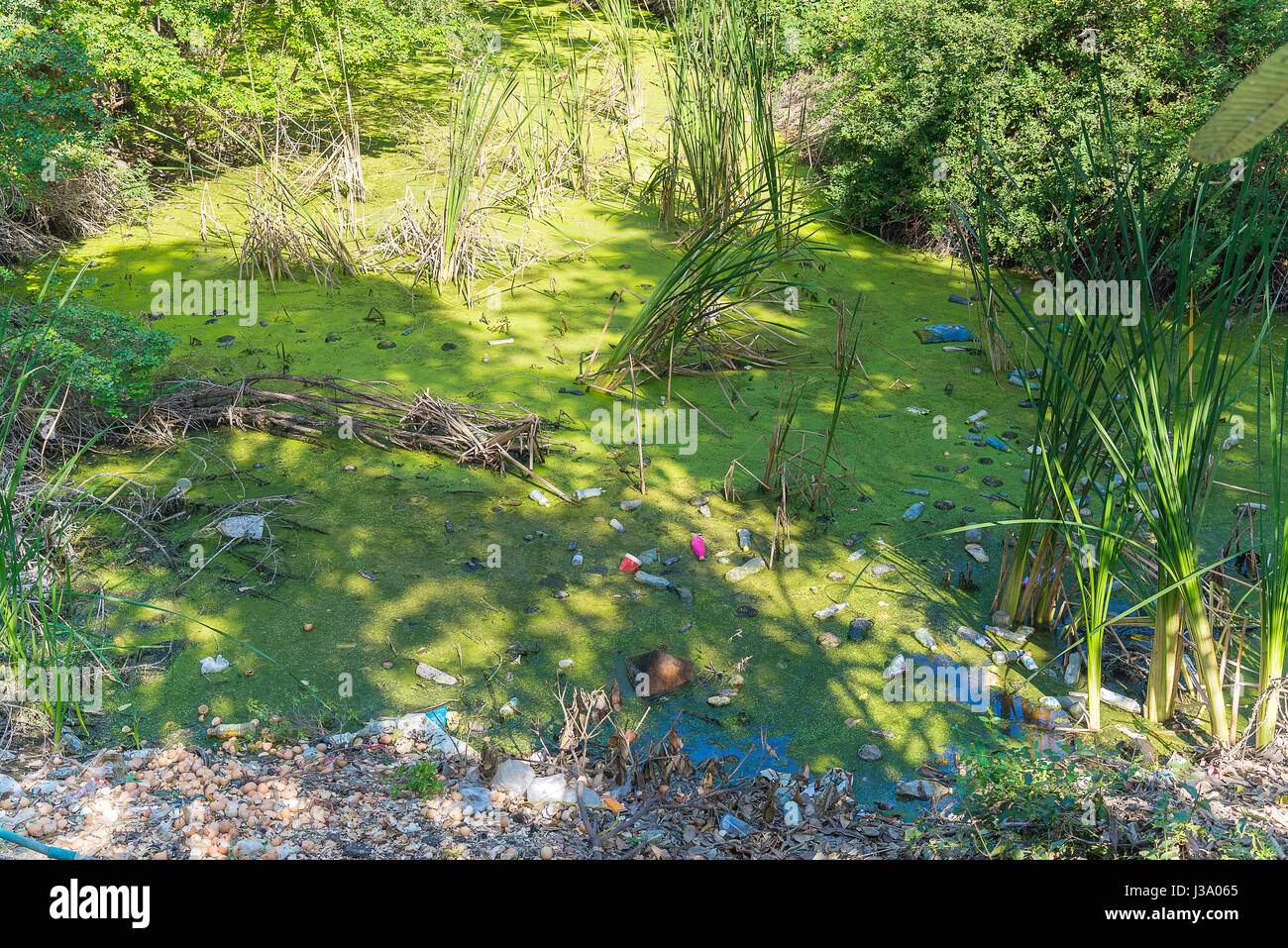 Garbage floating in the water, a large amount of trash polluting our ...