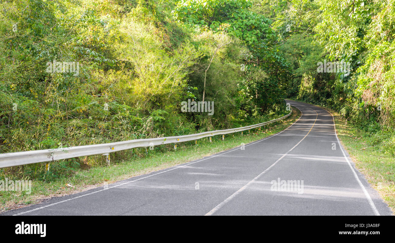 Deep redwood forest road hi-res stock photography and images - Alamy