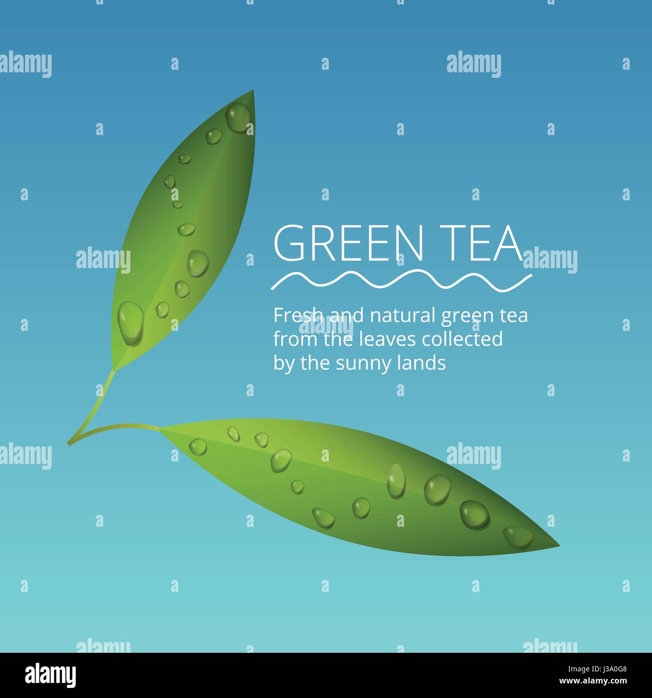 Citrusleaf Stock Vector Images - Alamy