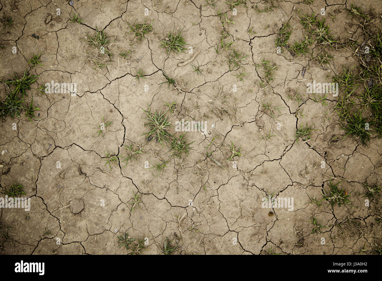 Dry soil by a drought, detail of climate change, ecological disaster ...