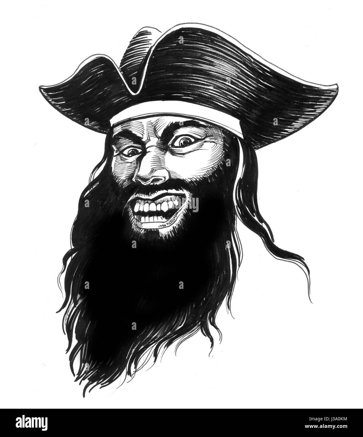 Pirate Bearded Stock Photos & Pirate Bearded Stock Images - Alamy
