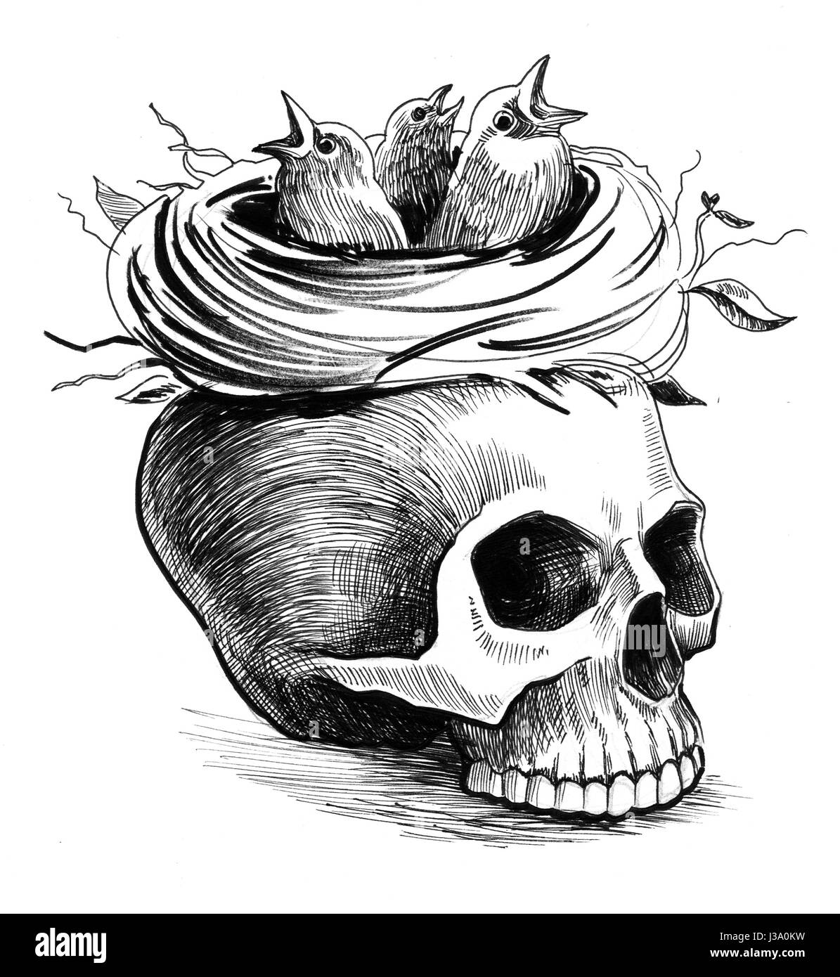 Life Asked Death Drawing