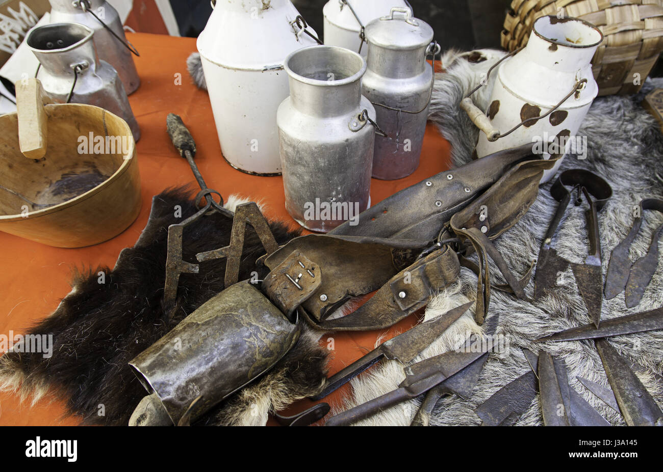 Tools for working with cows, detail of a traditional cowherd, farm ...