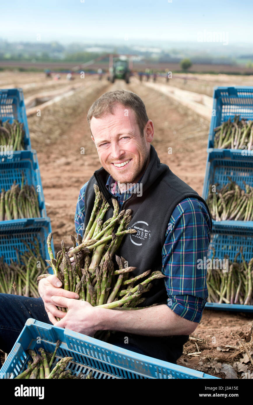 Asparagus farmer Chris Chinn of Cobrey Farms near Ross-on-Wye with some ...