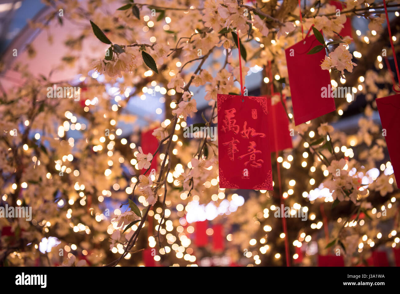red cards with messages on the traditional Japanese wishing tree Stock ...