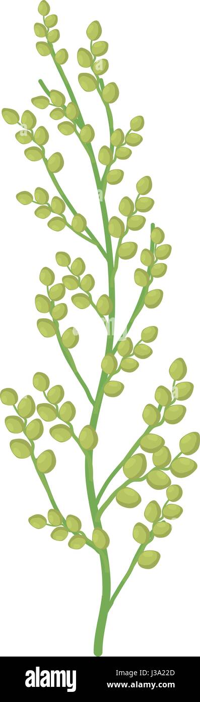 Millet icon, cartoon style Stock Vector Image & Art - Alamy