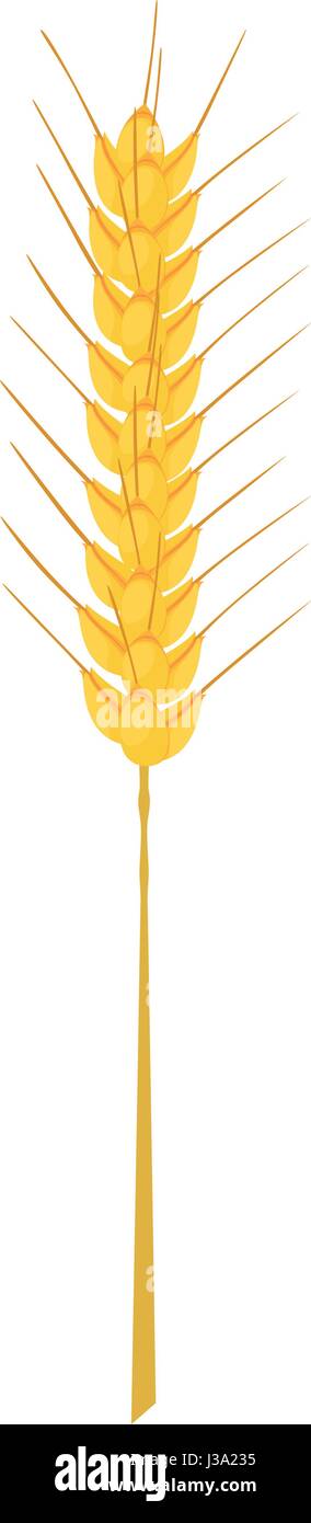 Barley stalk icon, cartoon style Stock Vector Image & Art - Alamy