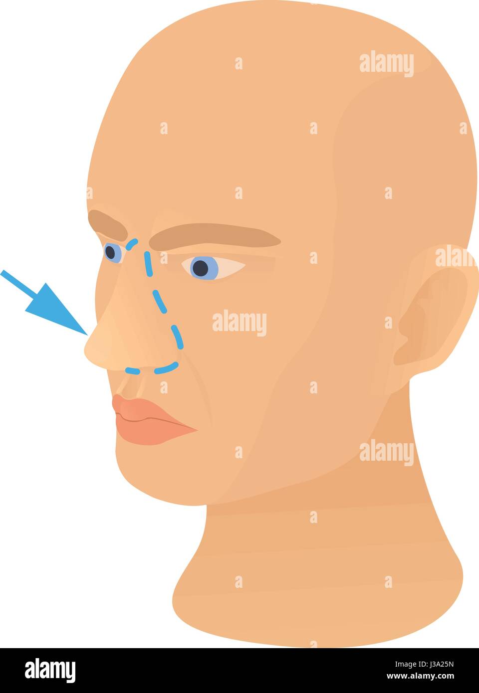 Lifting nose Stock Vector Images - Alamy