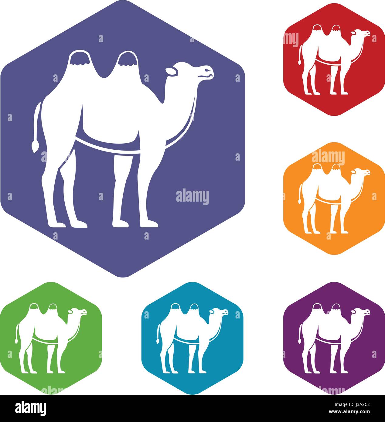 Camel icons set hexagon Stock Vector Image & Art - Alamy