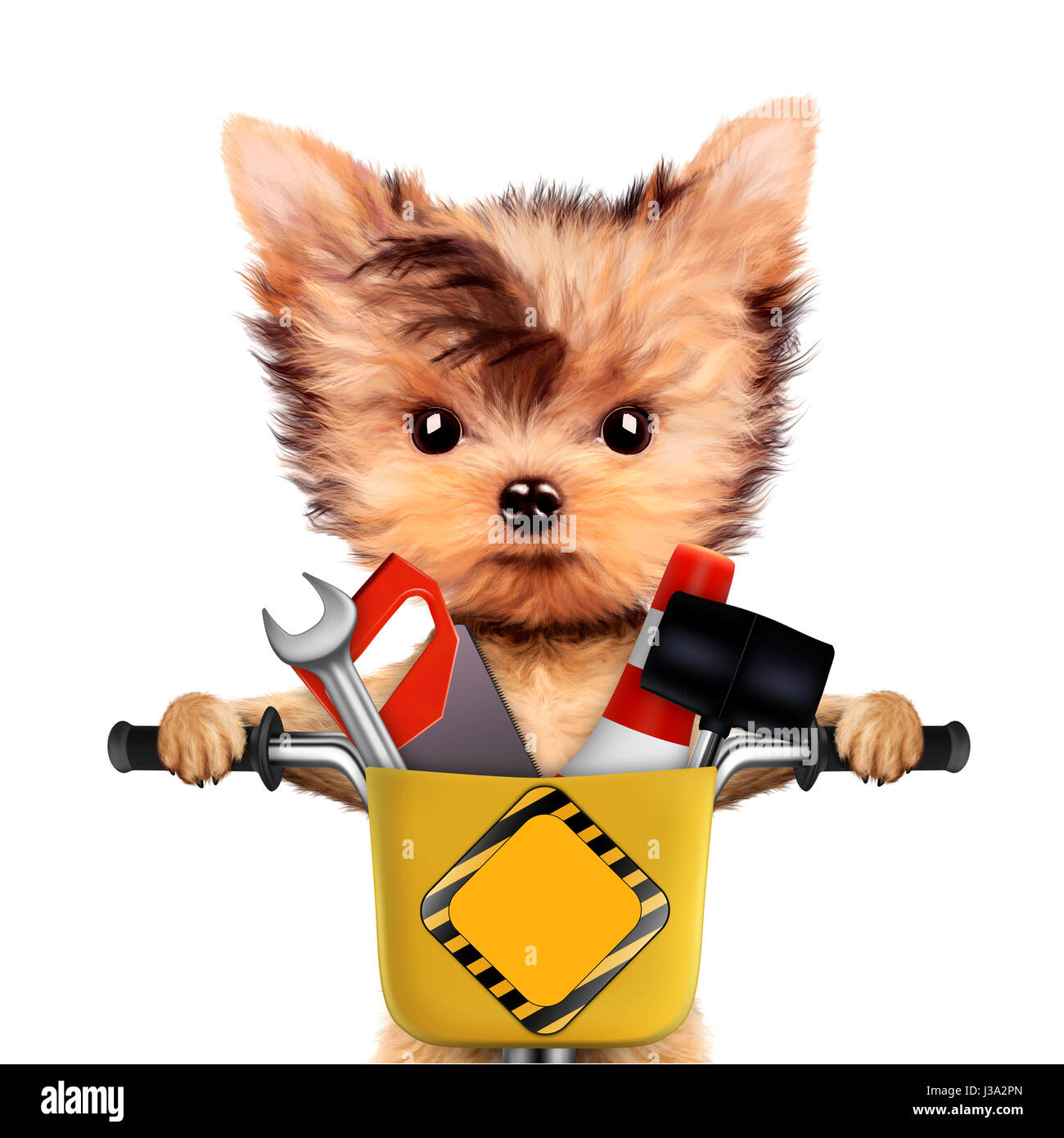 Funny dog with construction tools isolated on white Stock Photo - Alamy