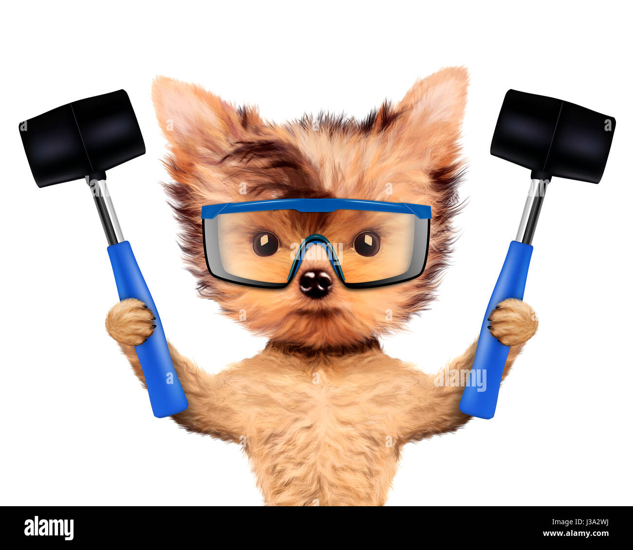 Funny dog with hammer isolated on white Stock Photo - Alamy