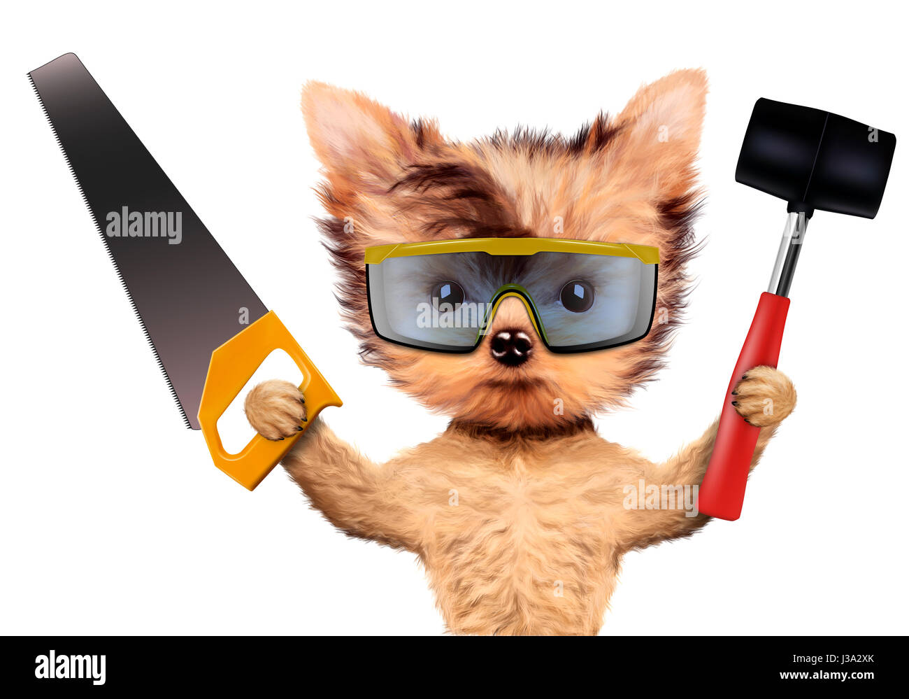 Funny dog with saw and hammer isolated on white Stock Photo - Alamy