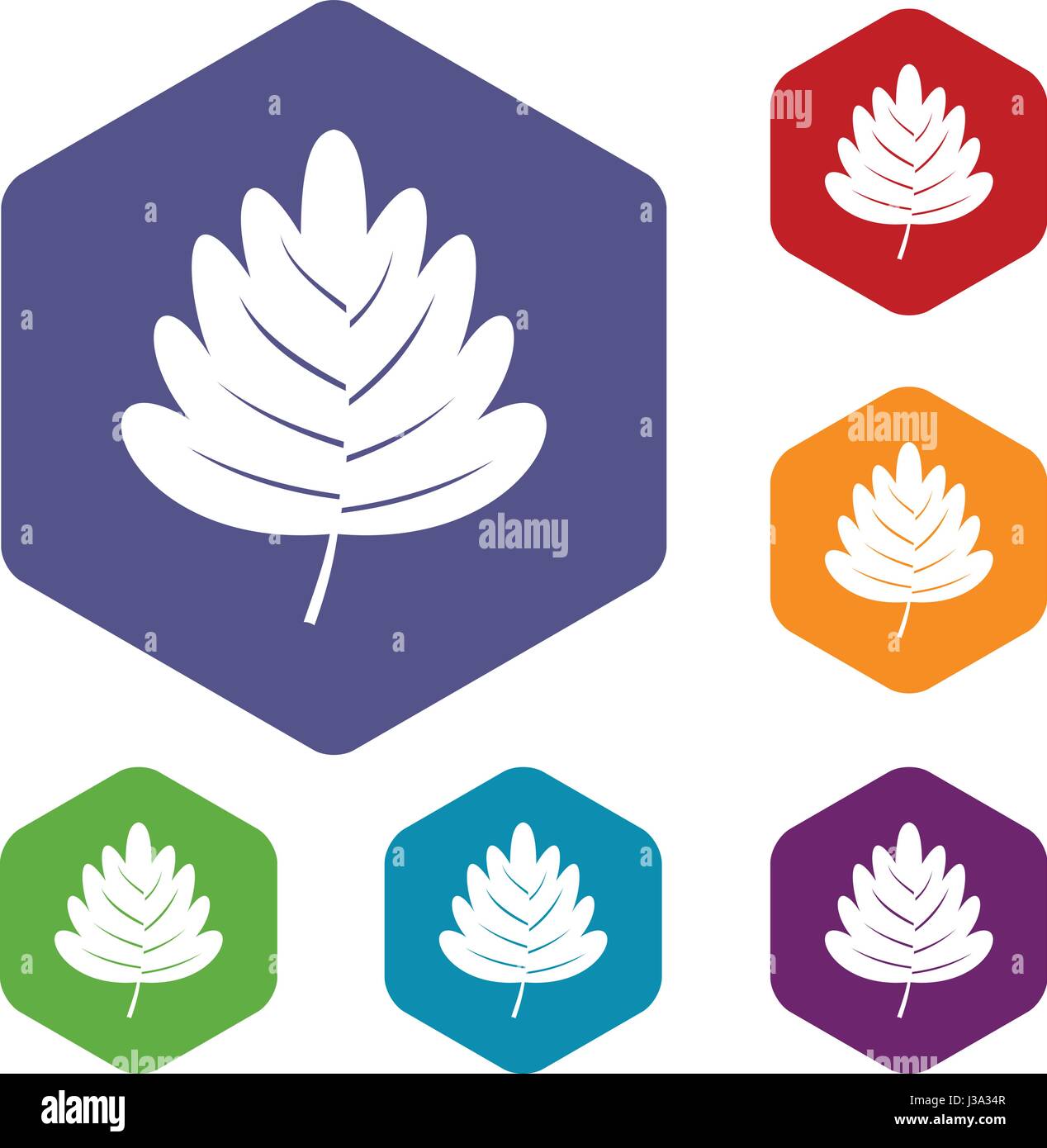 Hawthorn leaf icons set hexagon Stock Vector Image & Art - Alamy