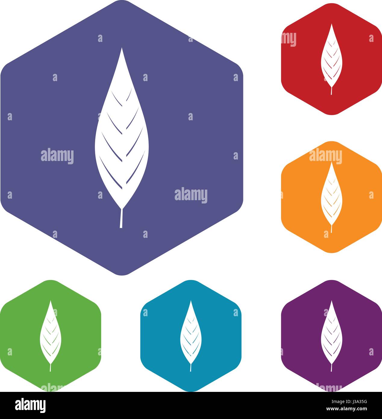 Leaf of willow icons set hexagon Stock Vector Image & Art - Alamy