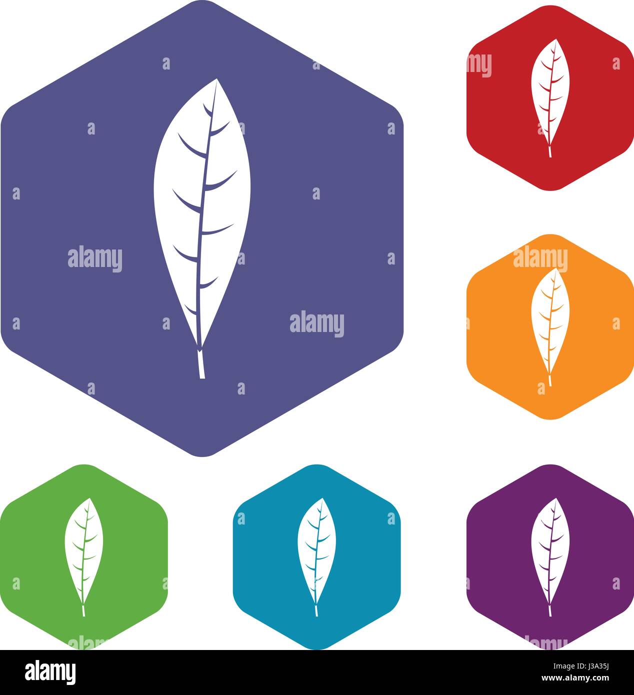 Leaf icons set hexagon Stock Vector Image & Art - Alamy