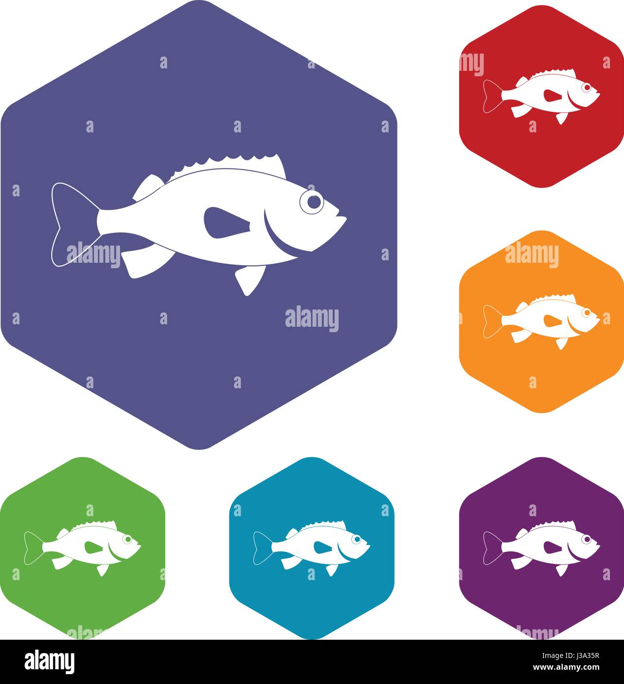 Sea bass fish icons set hexagon Stock Vector Image & Art - Alamy