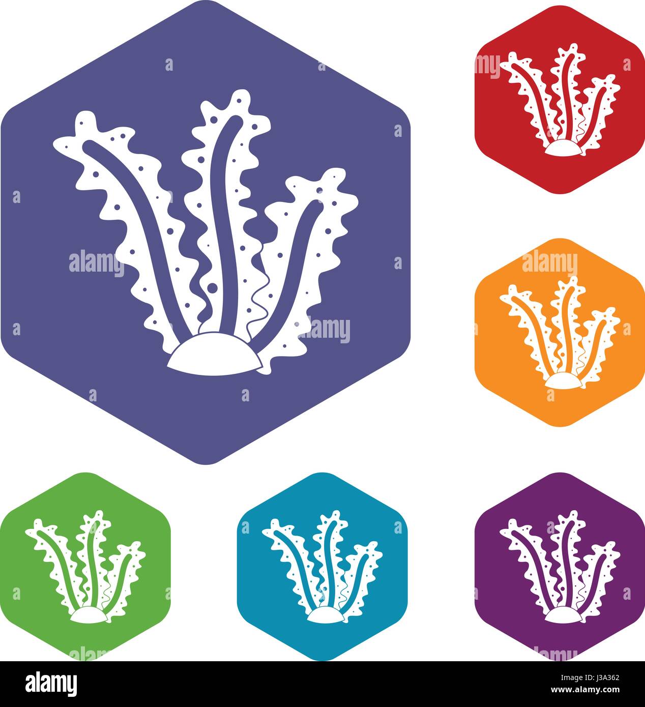 Seaweed icons set hexagon Stock Vector Image & Art - Alamy