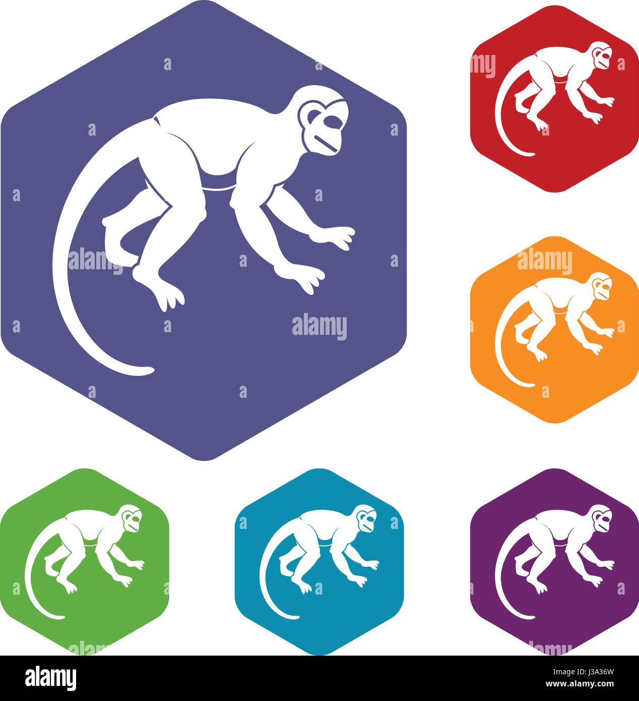 Capuchin monkey icons set hexagon Stock Vector Image & Art - Alamy