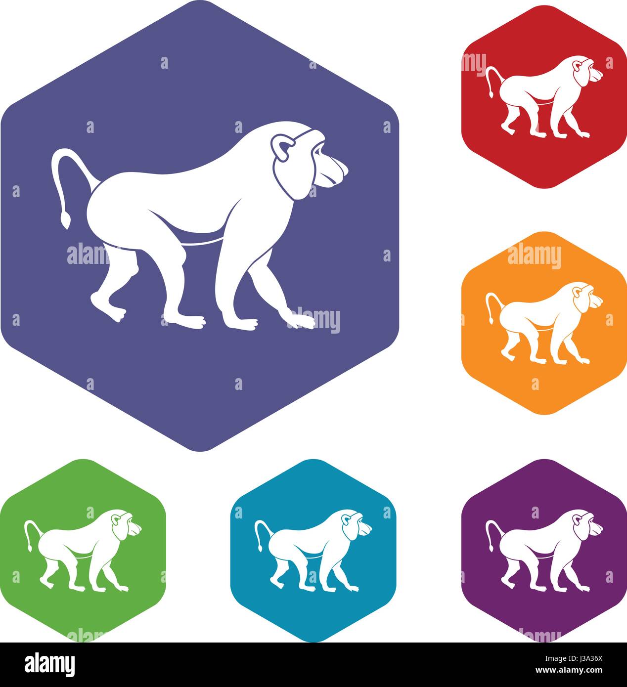 Japanese macaque icons set hexagon Stock Vector Image & Art - Alamy