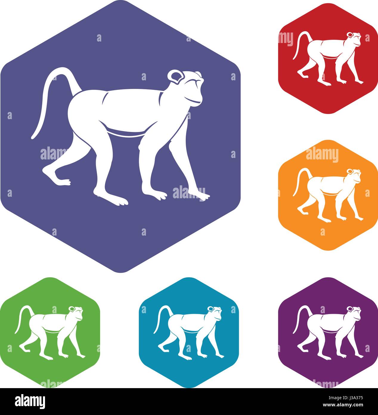 Monkey icons set hexagon Stock Vector Image & Art - Alamy
