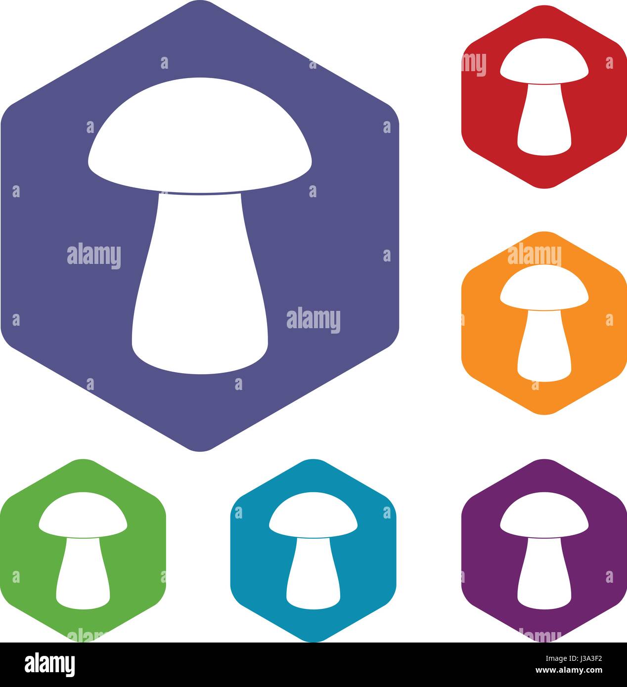 Fungus boletus icons set hexagon Stock Vector Image & Art - Alamy