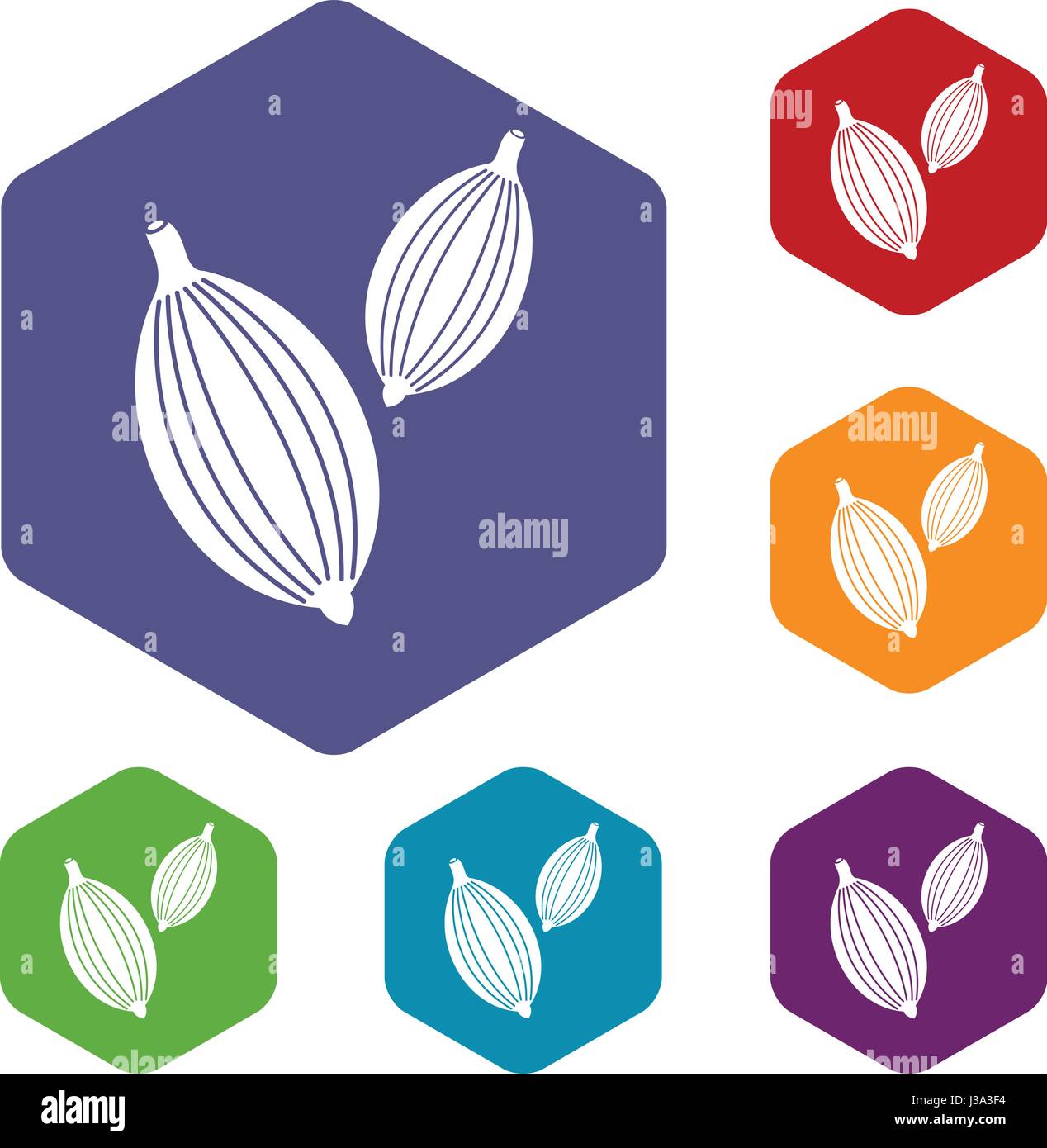 Cardamom pods icons set hexagon Stock Vector Image & Art - Alamy