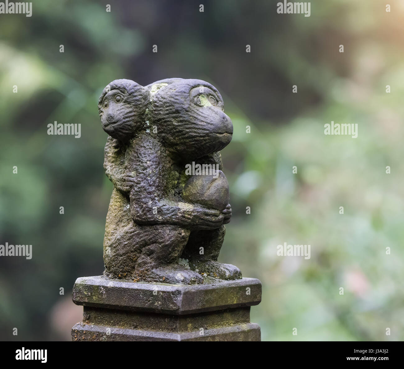 close up cement Monkey statue in garden Stock Photo - Alamy