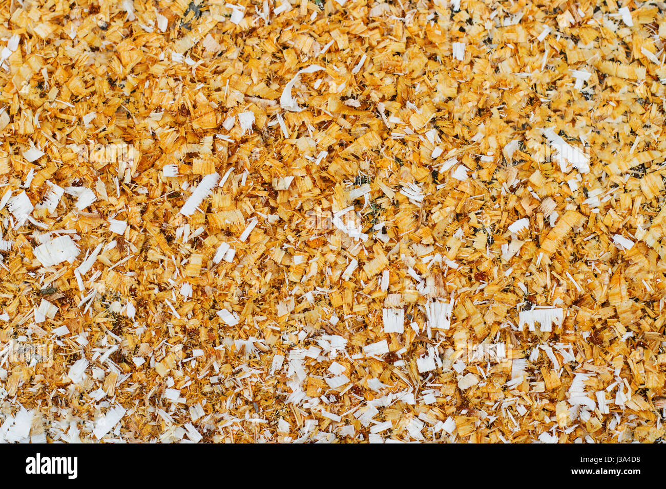 horizontal closeup of brown sawdust texture wood remains Stock Photo ...