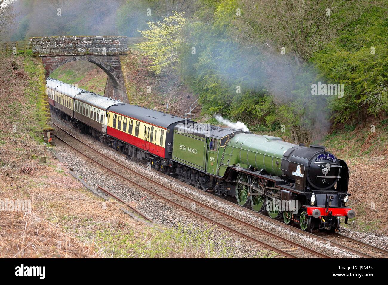 Steam train LNER Peppercorn Class A1 60163 Tornado. Cowran Cut, Cowran ...