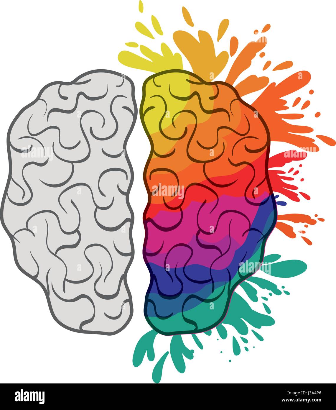 Isolated brain organ design Stock Vector Image & Art - Alamy